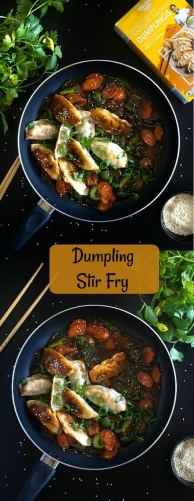 Dumpling Stir fry | Video - Nish Kitchen